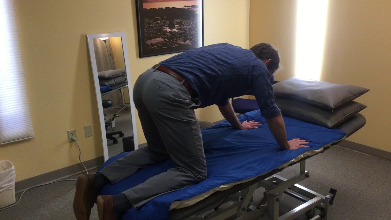 Quadruped Rock Back - Lumbar Flexion