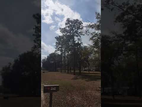 Damage to the environment in Middleburg fl. Gov is over kill