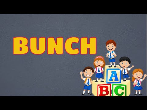 What Does BUNCH Means || Meanings And Definitions With Example in ENGLISH
