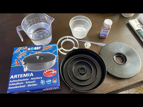 Brine Shrimp Hatchery Dish - Brine Shrimp Direct Inc.