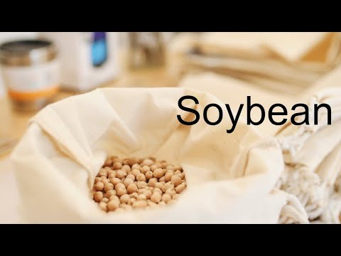 Health Benefits Of Soybean In Daily Life | By Shweta Kate| English |
