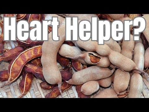 What is Tamarind?