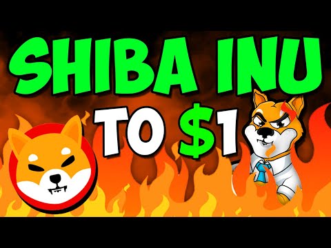 HOW MANY TOKENS WE NEED TO BURN TO MAKE SHIBA INU $1 - EXPLAINED