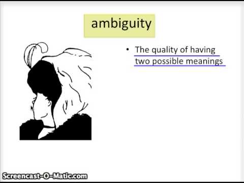 AMBI/AMPHI 2013