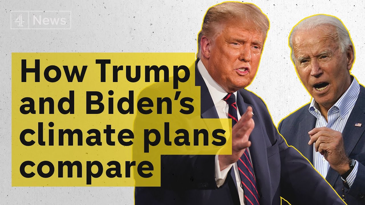 US election: What a Trump or Biden victory means for the climate