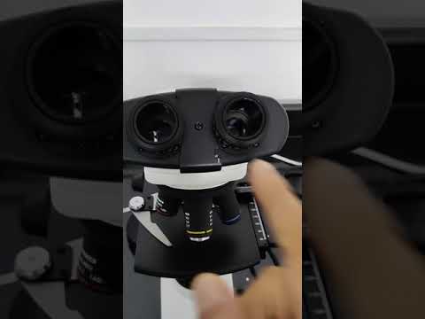 Labomed Microscope - Latest Price, Dealers & Retailers in India