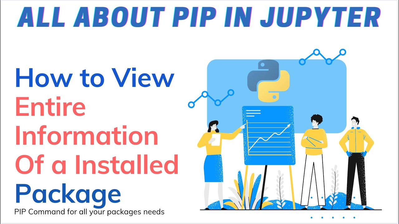 How to view complete information of a installed python package like summary version repo link