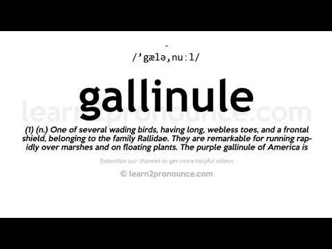 How to pronounce Gallinule | English pronunciation