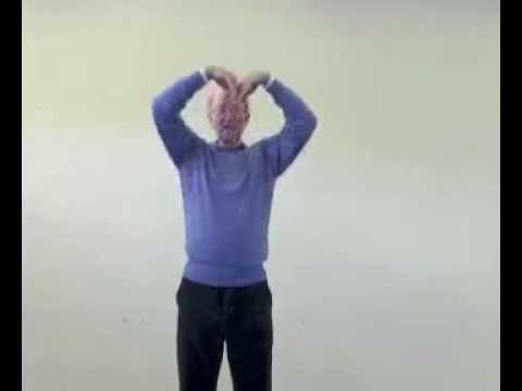 Torus Fields - Kundalini, Chakras & Energy Work - Become A Living God