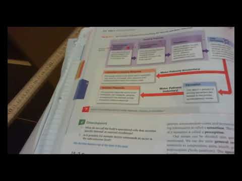 A&P 1 - Sensory Pathways and the Somatic Nervous System - Part 1