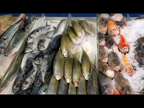 Fish Market in West Palm Beach, Florida (USA) ππ ππ