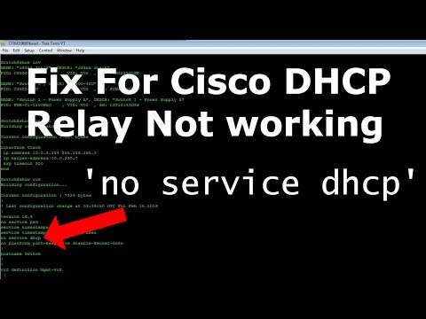 DHCP relay not working Cisco