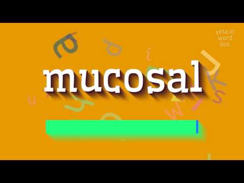 MUCOSAL - HOW TO PRONOUNCE MUCOSAL?