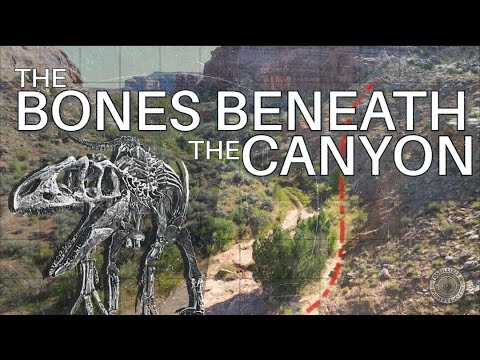 Dinosaur Fossils in Moab: Exploring the Bones Beneath the Canyon