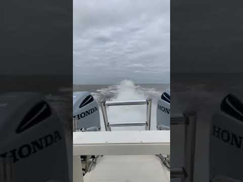 World Cat 27TE