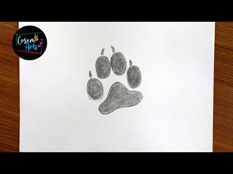 How to Draw dog paw print Easy step by step