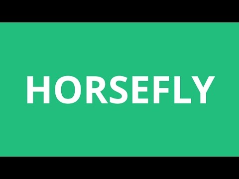 How To Pronounce Horsefly - Pronunciation Academy