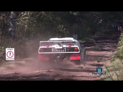 Rally Report Extra: Historic Hellendoorn Rally 2024 Powered by Vredestein: ACTION