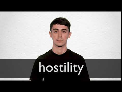 HOSTILITY definition and meaning | Collins English Dictionary