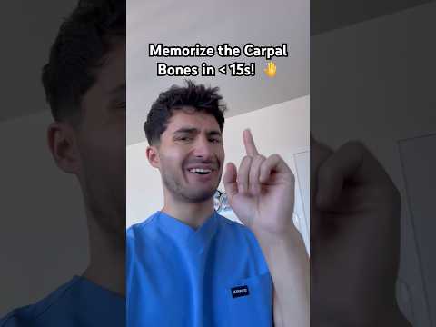 Memorize the Carpal Bones in 15s!π€#shorts #medstudent #medschool #anatomy #premed #anatomydrawing