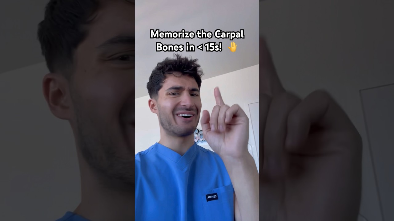 Memorize the Carpal Bones in 15s!🤚#shorts #medstudent #medschool #anatomy #premed #anatomydrawing