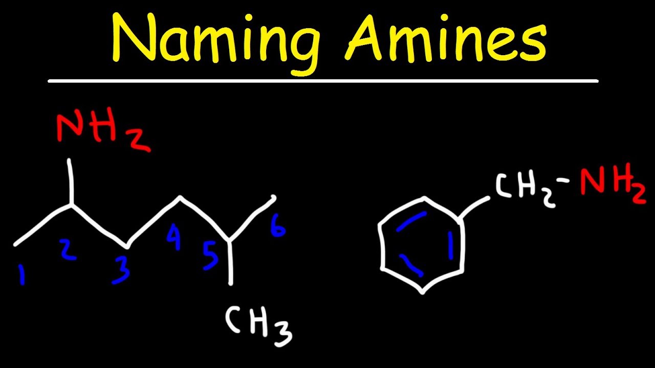 Naming Amines - IUPAC Nomenclature & Common Names