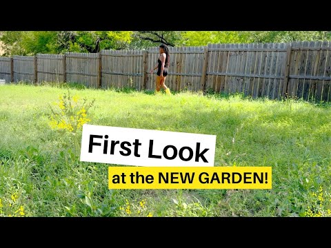 From one backyard to another 🌿 Hauled my garden to a New Home🏡