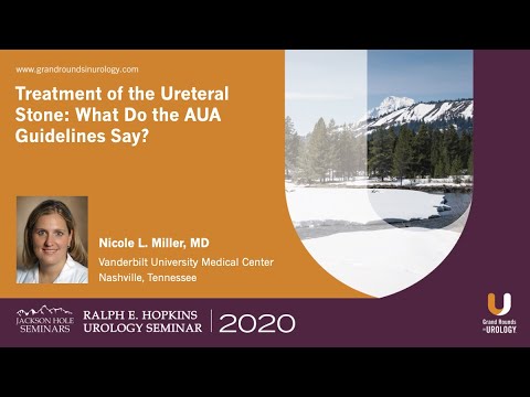 Treatment of the Ureteral Stone: What Do the AUA Guidelines Say?