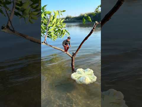 Amazing videography idea ???????? #shorts #videography #ideas