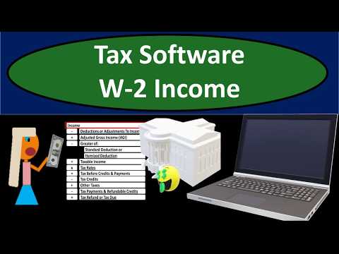 Tax Software W-2 Income 309