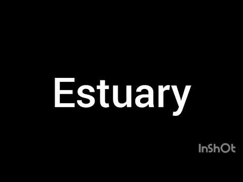 Estuary meaning and pronunciation