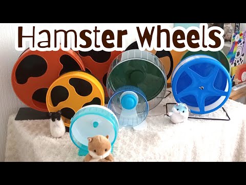 How and why do I have so many hamster wheels?