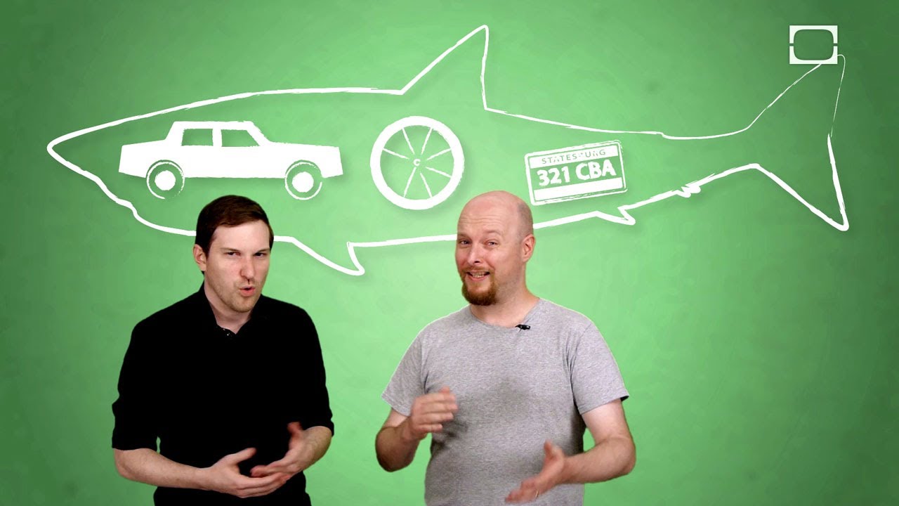 How Do Shark Senses Work?