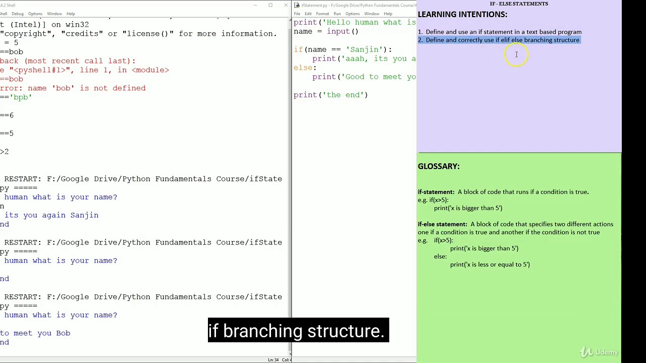 Python Fundamentals - #4 If Statements and User Inputs