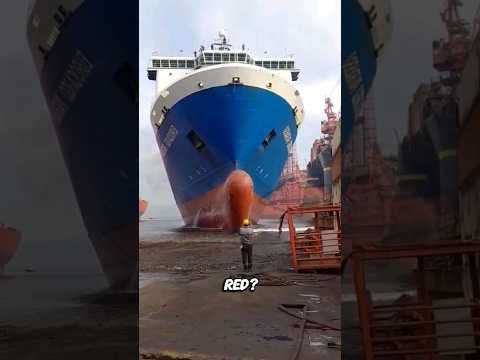 Why Is The Bottom Of A Ship Always Red? 🤔