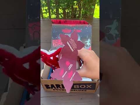 Bark Box - Stranger Things