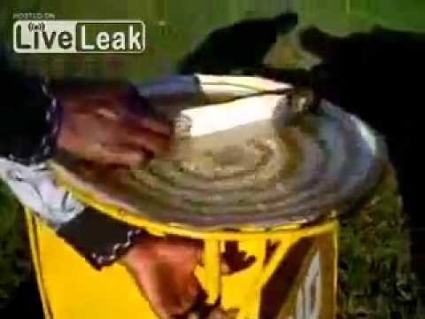 Equatorial water draining show