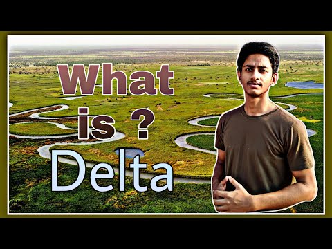 What is Delta ? in Hindi | Deltas in geography