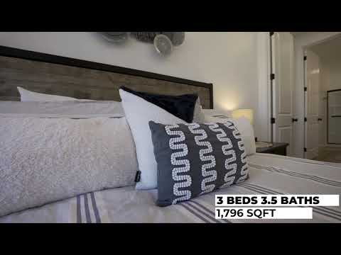 Desert Color Sunshine & Sage #81 Vacation Rental