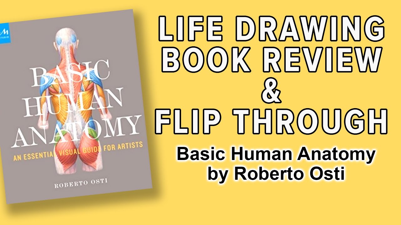 Review and Flip Through of Basic Human Anatomy by Roberto Osti