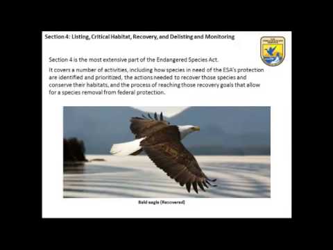 Endangered Species Act 101
