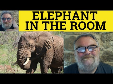 🔵Elephant in the Room Meaning - Elephant in the Room Examples - Elephant in the Room Defined Idioms
