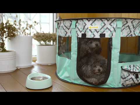 #Tasdise - Portable Dog Playpen Usage Show