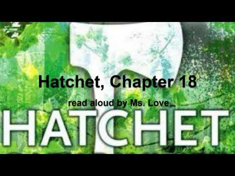 Hatchet, by Gary Paulsen, Chapter 18