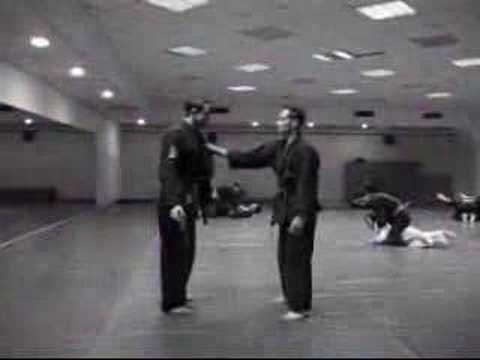 Black belt, 1st Dan syllabus - Ninjutsu | AKBAN