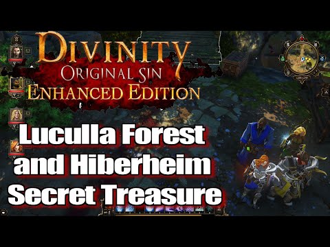 Steam Community :: Video :: Divinity Original Sin Enhanced Edition ...