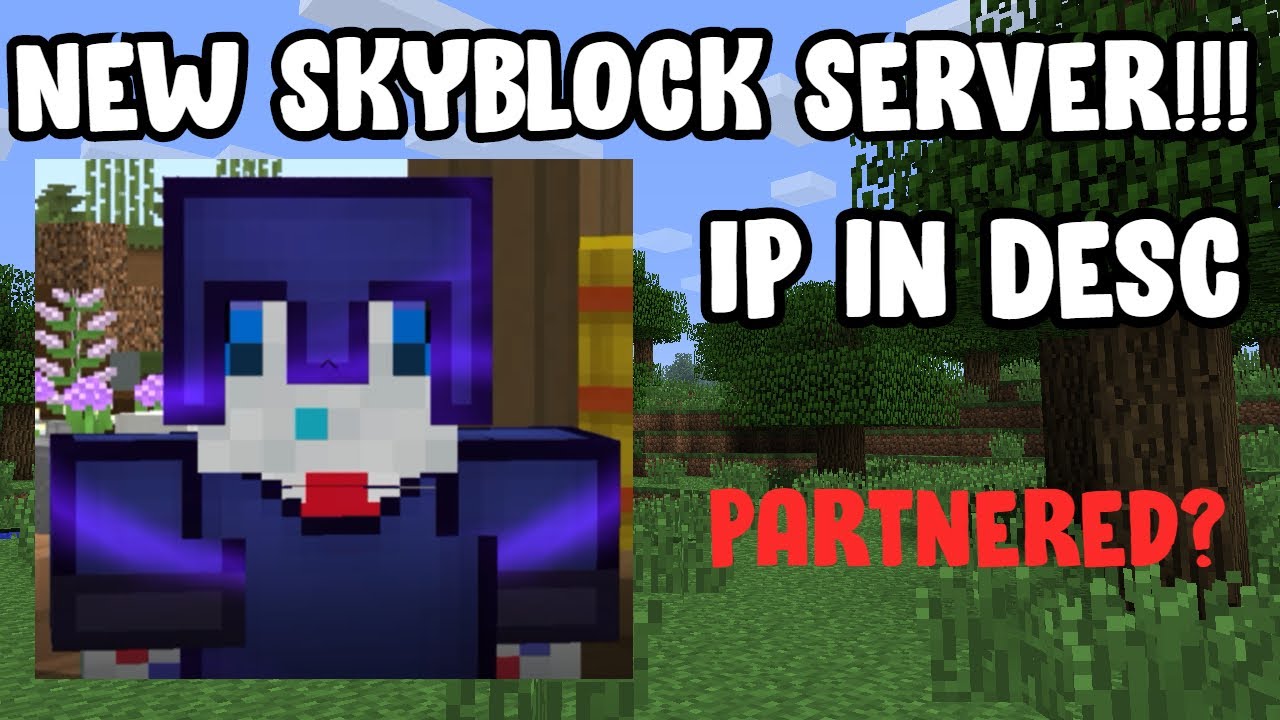 New Skyblock Server! | Checking Out The Features