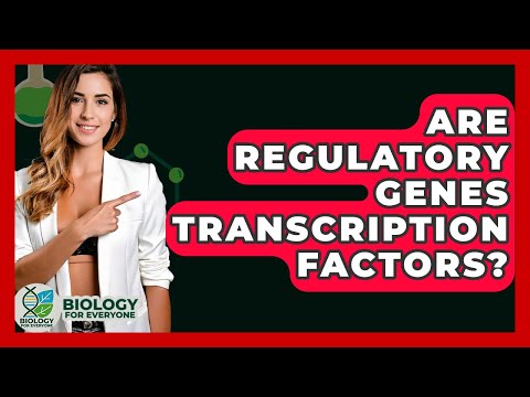 Are Regulatory Genes Transcription Factors? - Biology For Everyone