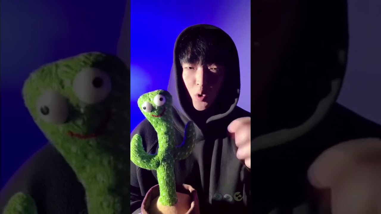 Beatboxer vs Cactus!? PART 2