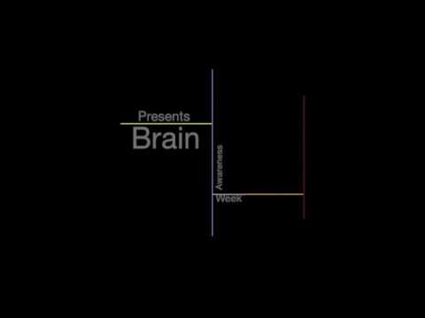 Brain Game 1